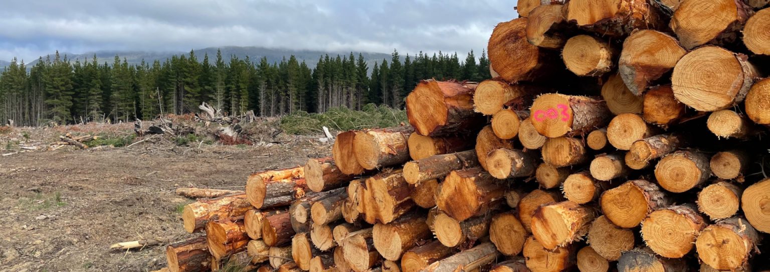 Forest Stewardship Council (FSC) - Australia - Forests For All Forever | Business View Oceania