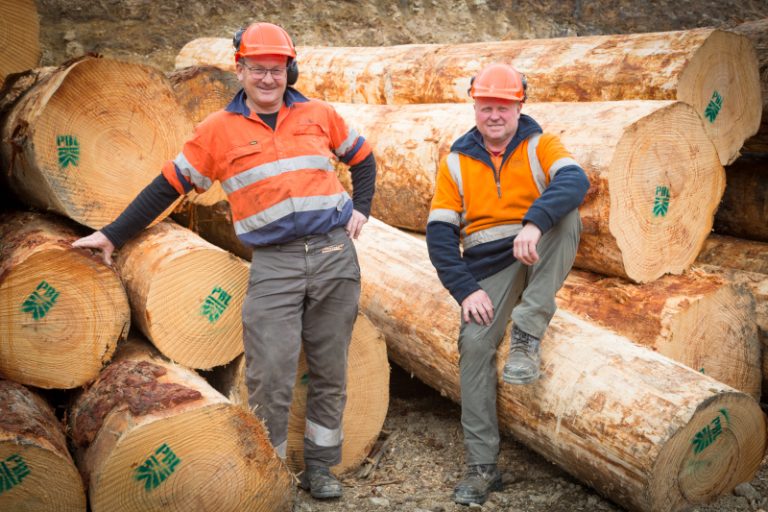 Cable Logging Geraldine - Tackling Steep Slope Harvesting | Business ...