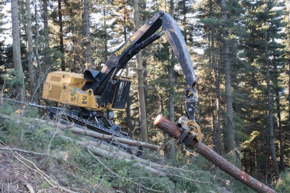 Cable Logging Geraldine - Tackling Steep Slope Harvesting | Business ...