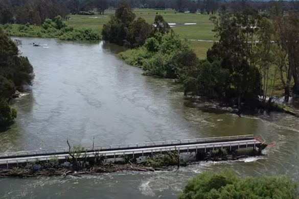 Murrindindi Shire Council Archives | Business View Oceania