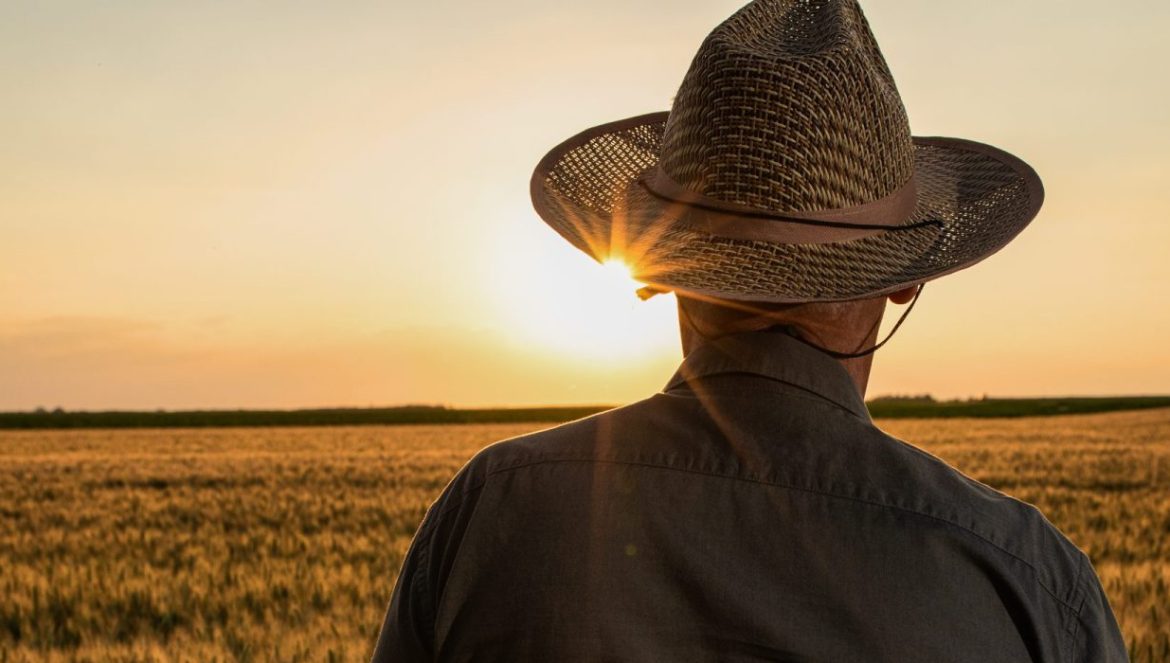 V&V Walsh - Bunbury, Western Australia | Business View Oceania